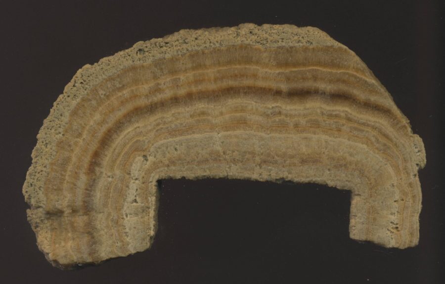 Second Century Roman Watermill Not What Researchers Have Thought ...