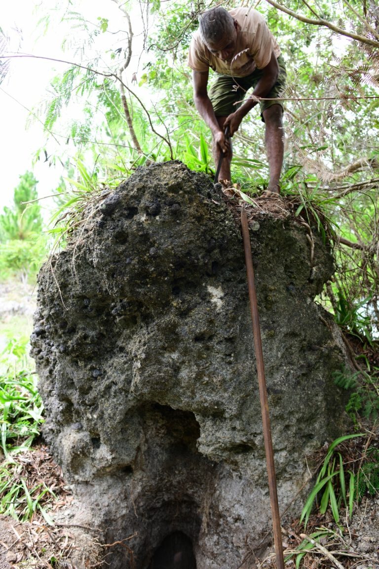 The Mystery of the Tumuli – Popular Archeology